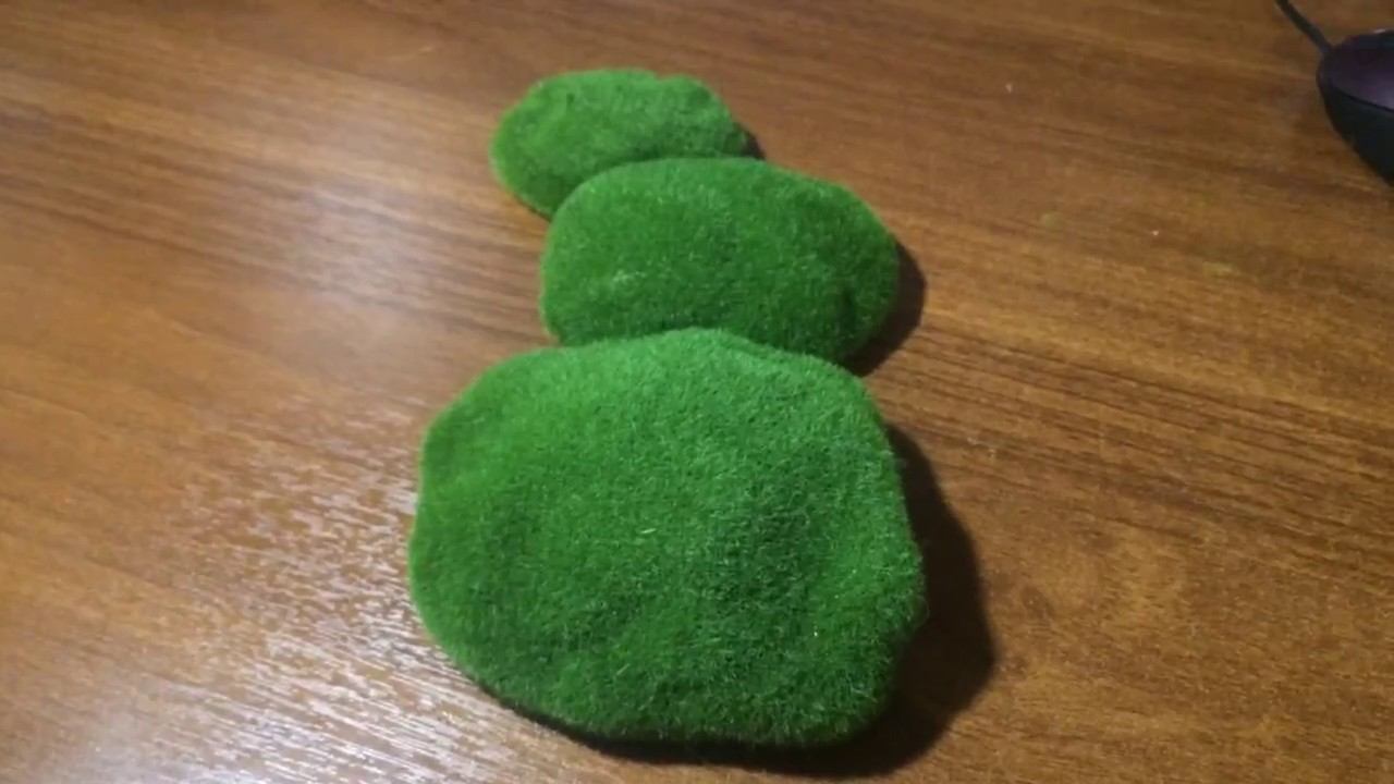 Декоративный мох для поделок