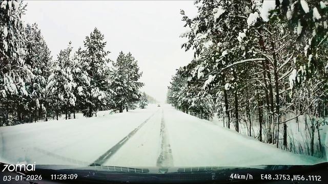 Илеть, за поселком. Йошкар-Ола январь 2026