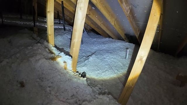 Потекла крыша ｜ Ремонт своего дома в США (MeVova)
