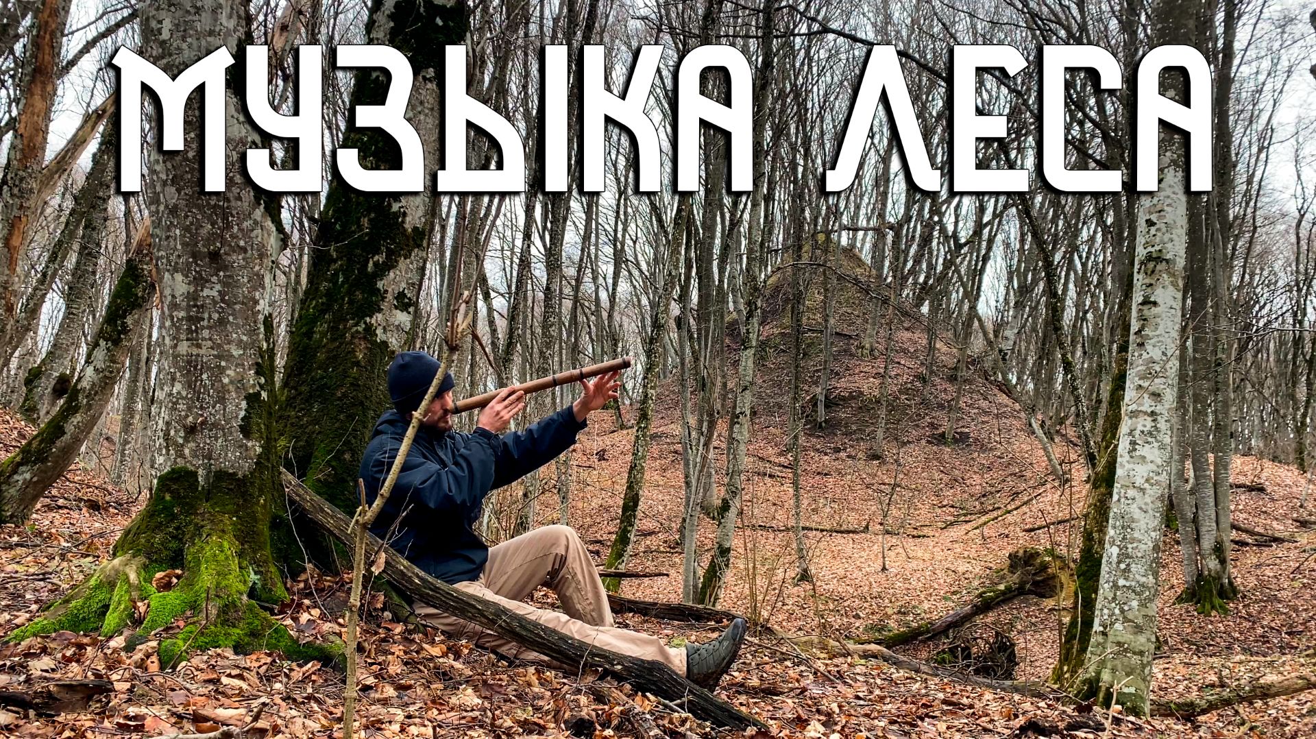 Дзен Флейта / Музыка Души из Лесной Глуши