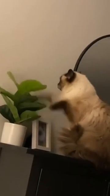 Барабаню я без мук, только где потерян звук?