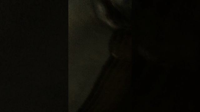 что это за место