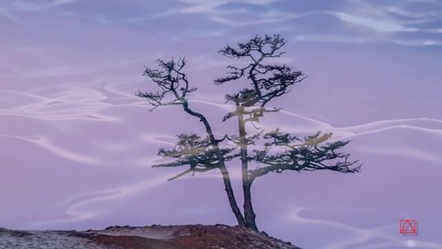 Из аввы Исаака