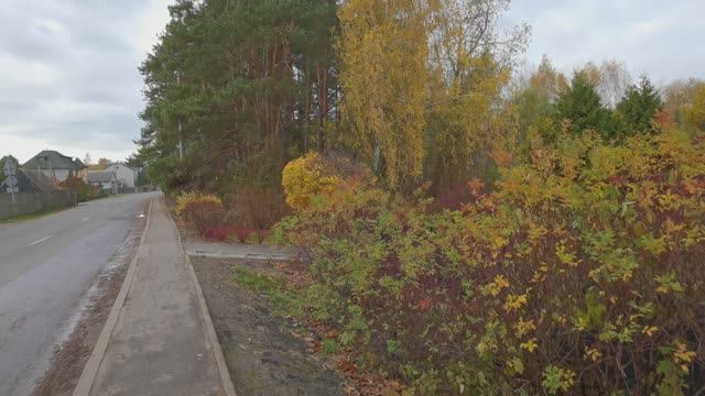 ОСЕННЯЯ ПРОГУЛКА на 10 километров. 26.10.2025