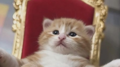 Сборник мемов №4