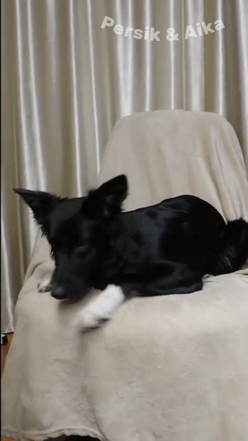 Гордо танцую одна 😎😉