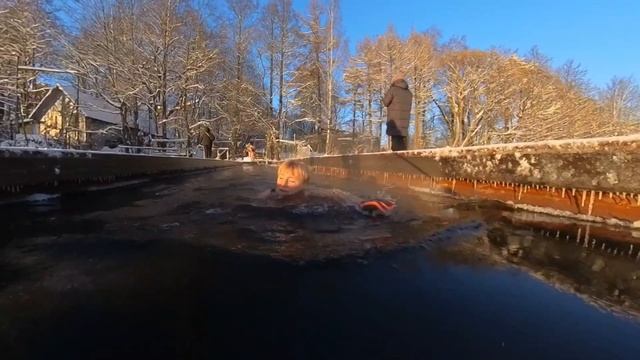 С Рождеством, дорогие моржи!