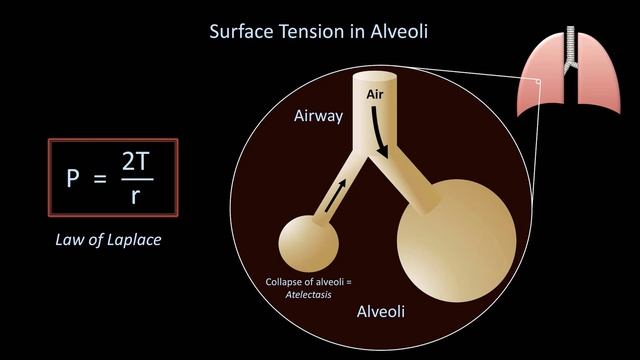 Surface Tension and Surfactant (Fluid Mech -12) Eric Strong