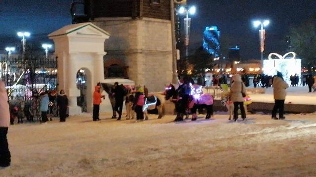 Екатеринбург. Лошади на морозе.  Они  с мехом)