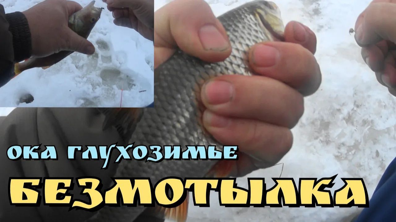 Безмотылка в глухозимье .Затон реки Оки