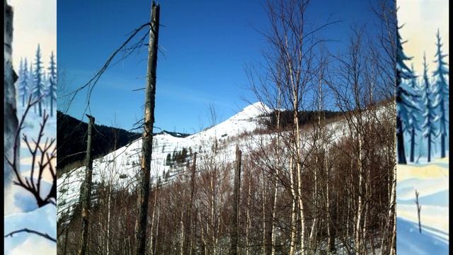 Охота на кабана