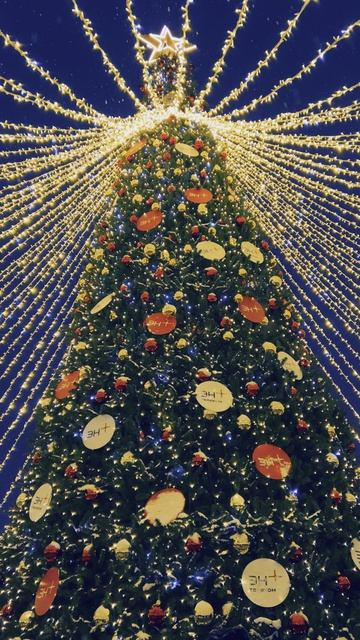 Иркутск Новогодний. Верхняя Набережная Ангары