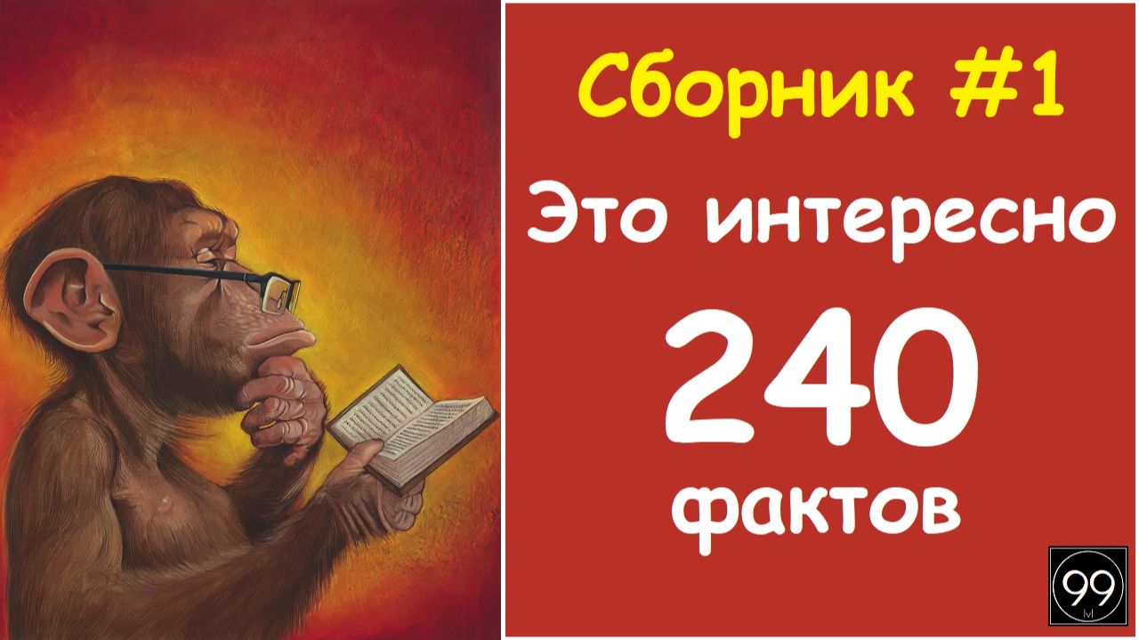 240 ФАКТОВ. НЕСТАНДАРТНЫЕ ФАКТЫ, КОТОРЫЕ ТЕБЯ ПОРАЗЯТ!