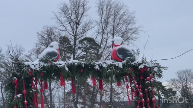 Парк Монрепо прогулка в Выборг январь