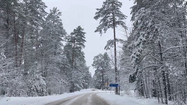 Заснеженная сказочная дорога в Беларуси