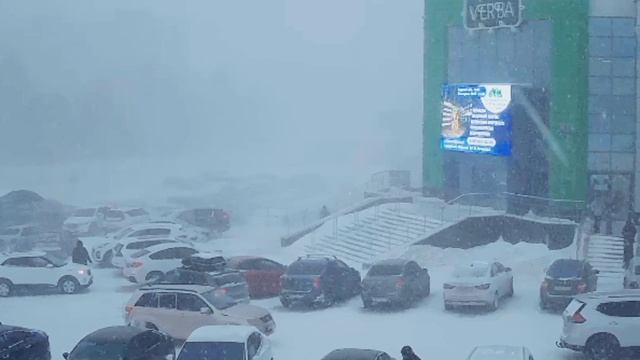 сильная метель и пурга❄