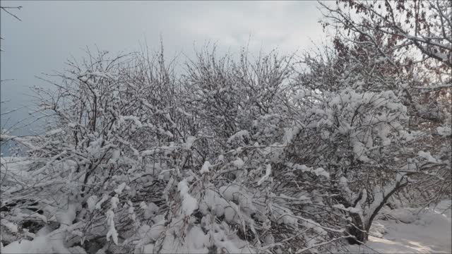 Двери в райские селения.