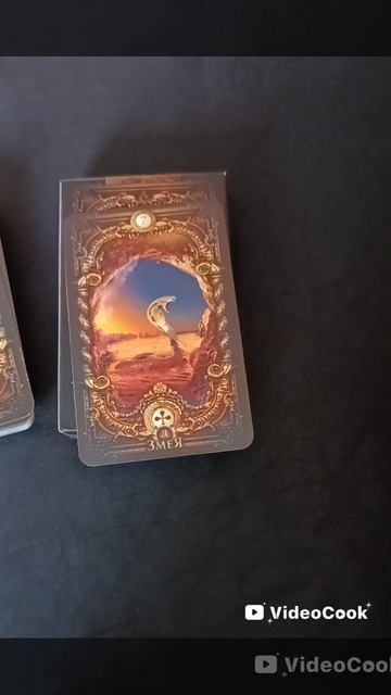 Карта дня#таро