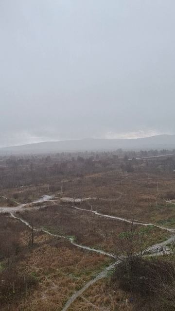 30 декабря перед НГ