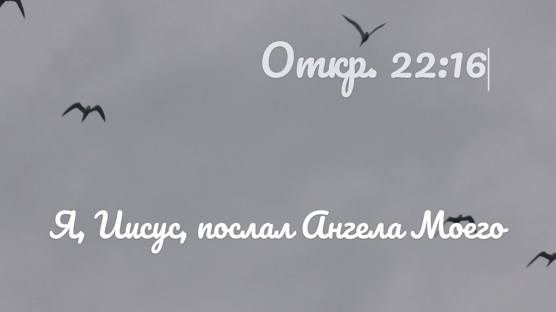 Откр. 22:16