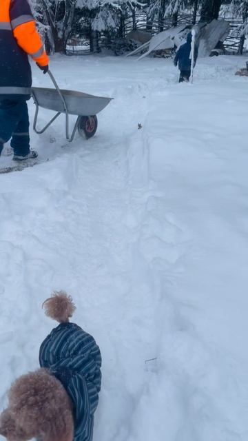 Наш зимний кострище ❄️🔥❄️