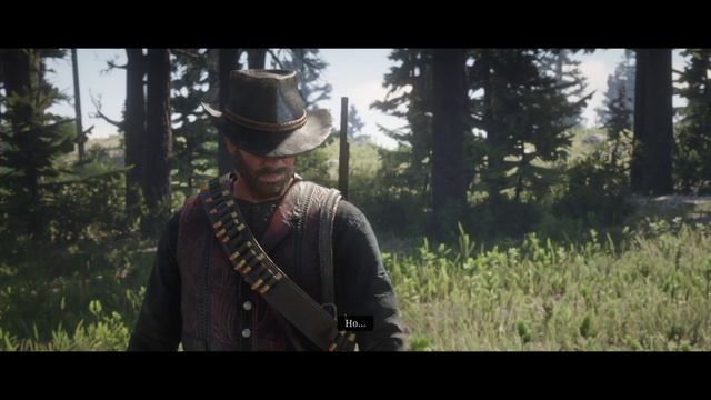 Red Dead Redemption 2  ~ Идиллия для дилетантов.