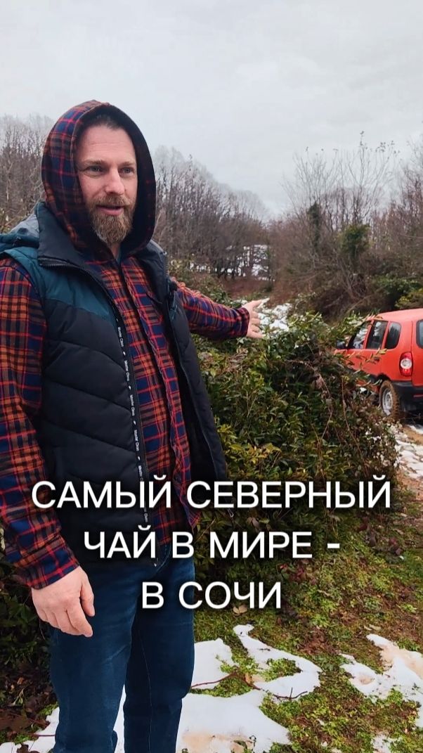 Самый северный чай в мире под снегом! 🗺❄️