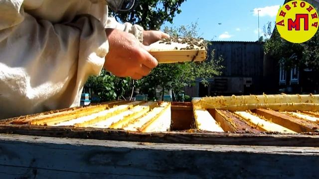 Работа ослабленных семей на начало июля