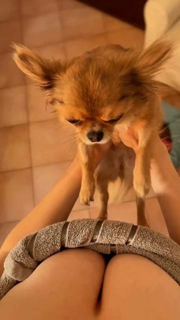 Tania Bann | Как правильно снять собачку