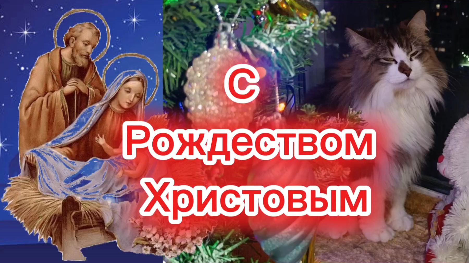 С Рождеством Христовым 🎄 Поздравление!