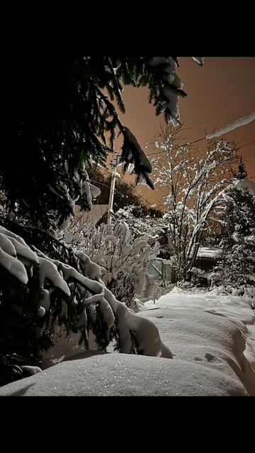 Вечер перед Рождеством