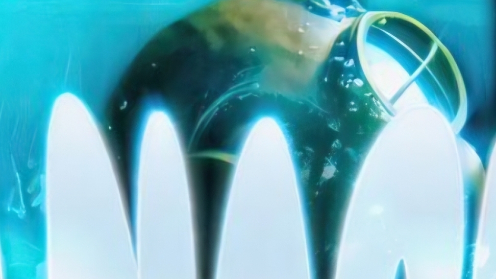 ЗОЙДИ СОФИЯ ПЖ