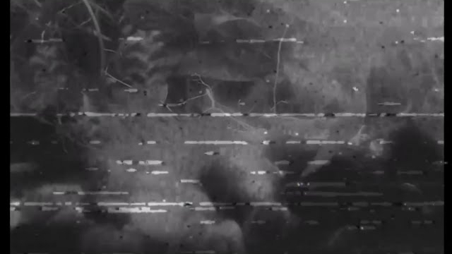 VHS - Бейби Анцитрус Плейтайм (Кассета) 1998 Г.