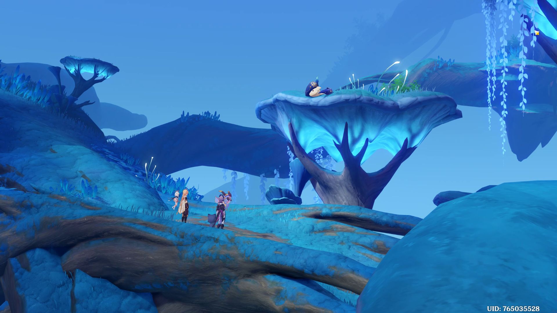 Genshin Impact: Откровение под звёздами