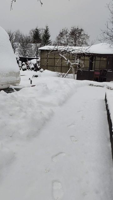 Намело... настоящая зима.