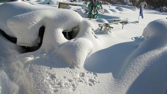 Рождество пришло на Землю!