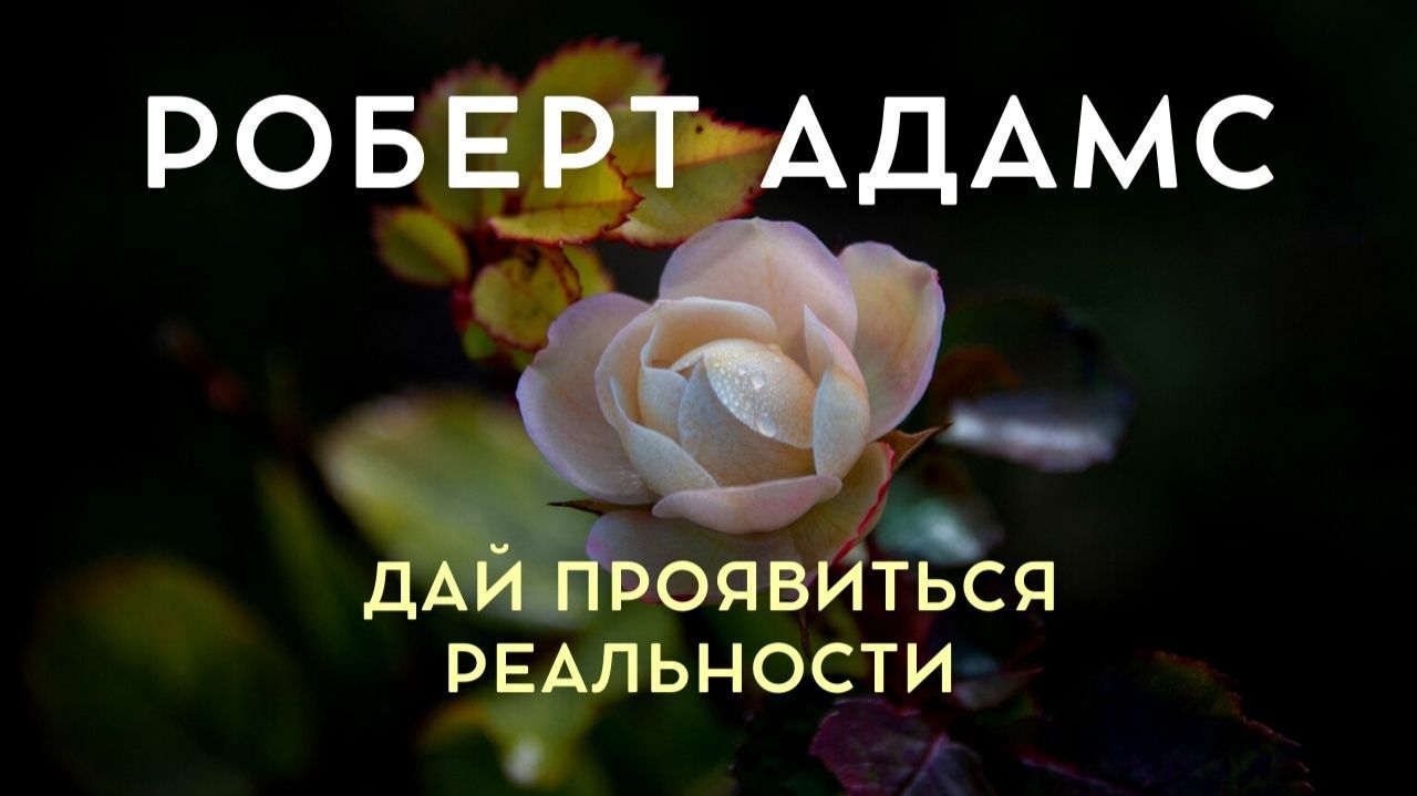 Затормози ум и дай проявиться реальности. Роберт Адамс
