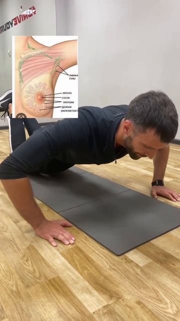 тренировка  дома от тренера силовые