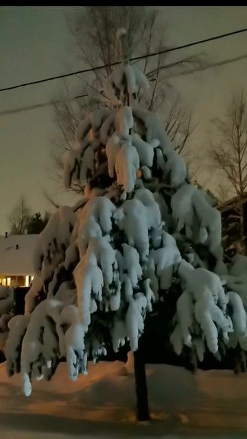 Утреннее настроение 72 / Morning mood 72 🌨️⛄🎄#доброе утро #зима #москва