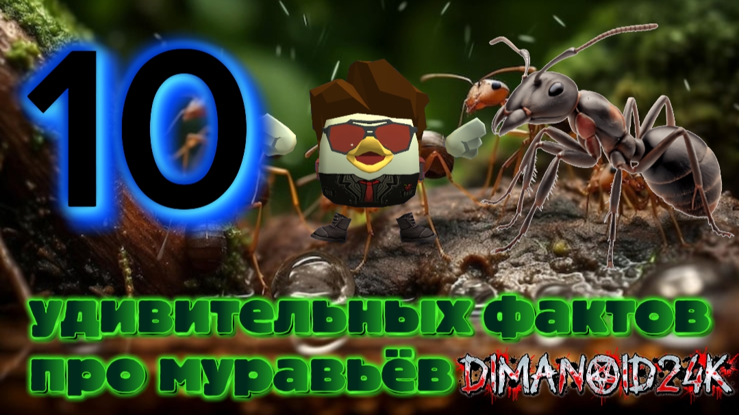 10 удивительных фактов про муравьёв!!!
