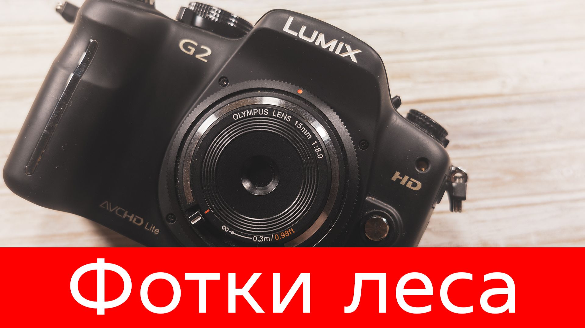 Фотопрогулка по лесу в последний день осени