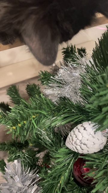 С Рождеством!!!