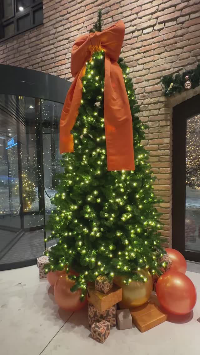 Сербия январь 2026