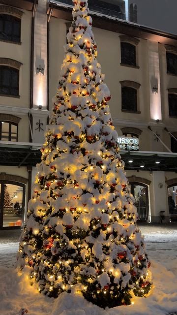 Сербия 2026 январь