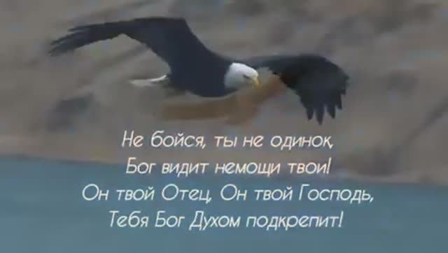 Упал? Вставай! - христианская поэзия