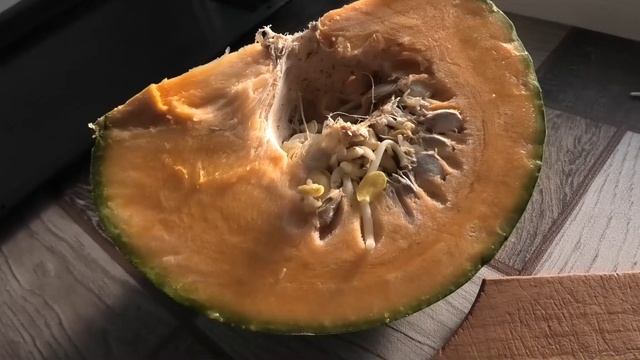 Тыква начала прорастать изнутри уже в январе