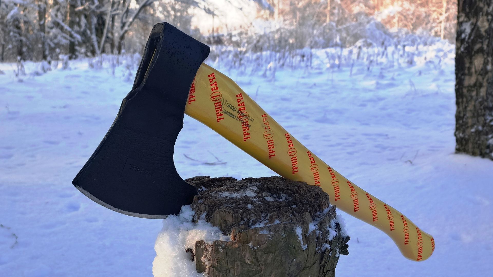 Топор таёжный кованный в сборе Труд Вача 1100/1480 г, деревянное топорище, 520 мм, Тигр