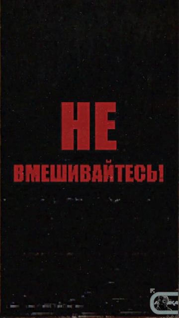 📚 Невыпущенная инструкция по безопасности, касаемая пёселей. 📚
