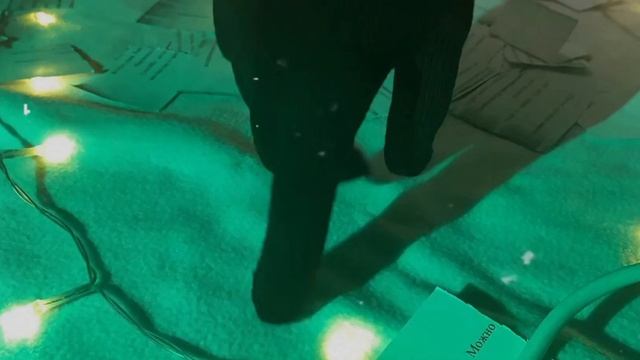 Пичкова Александра