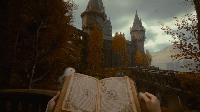 Чтение в Хогвартсе. Осень, уютная атмосфера звуков природы. [2К]